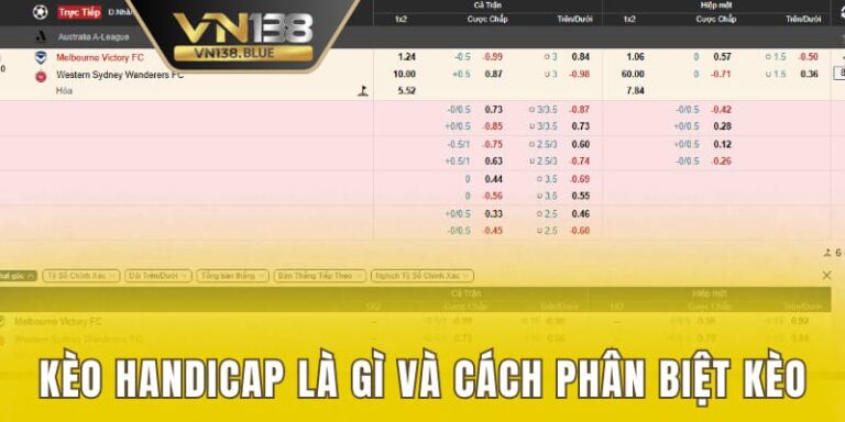 Kèo Handicap Là Gì Và Cách Phân Biệt Các Loại Kèo Handicap